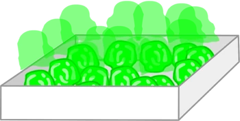 List of minor items in Battle for Dream Island Again | Battle for Dream ...