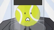Tennis Ball/Coverage | Battle for Dream Island Wiki | Fandom