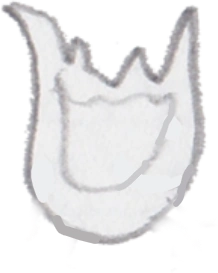 Category:Character Galleries | Battle for Dream Island Wiki | Fandom
