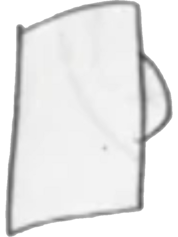 Announcer | Battle for Dream Island Wiki | Fandom