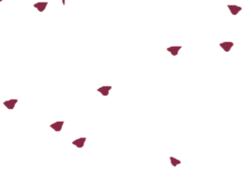 List of minor characters in IDFB | Battle for Dream Island Wiki | Fandom