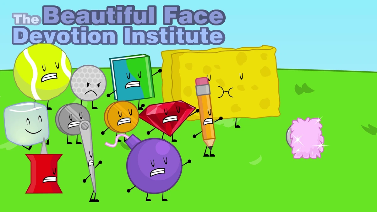 The Beautiful Face Devotion Institute/Gallery | Battle for Dream Island Wiki | Fandom