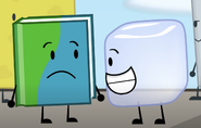Book and Ice Cube | Battle for Dream Island Wiki | Fandom