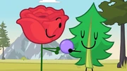 Fern/Relationships | Battle for Dream Island Wiki | Fandom