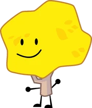 Unused or unseen content/IDFB | Battle for Dream Island Wiki | Fandom