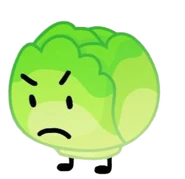 BFB 31/Recommended characters | Battle for Dream Island Wiki | Fandom