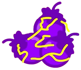 Yoyleberry | Battle for Dream Island Wiki | Fandom