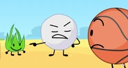 Basketball and Grassy | Battle for Dream Island Wiki | Fandom
