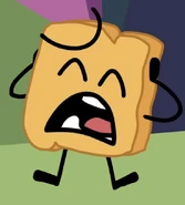 Woody's gibberish | Battle for Dream Island Wiki | Fandom