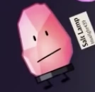 Salt Lamp | Battle for Dream Island Wiki | Fandom