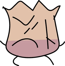 Variations of Barf Bag | Battle for Dream Island Wiki | Fandom