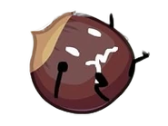 Chestnut | Battle for Dream Island Wiki | Fandom
