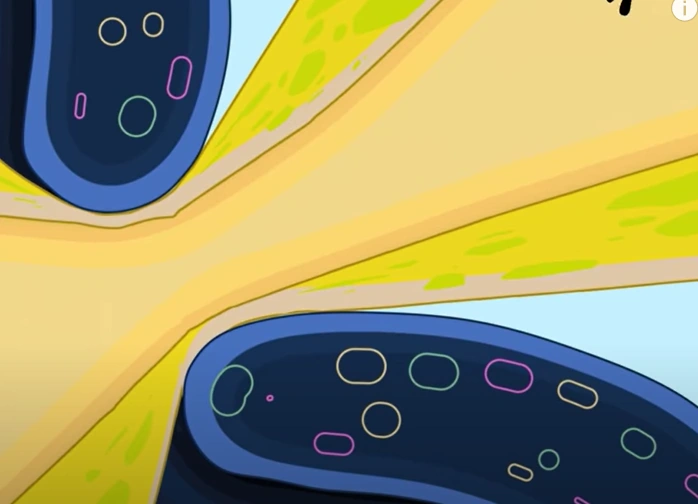 User blog:Vhsbetamax/What We Know about Numbers in the BFB Universe ...