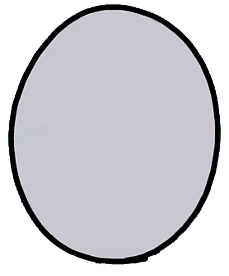 Assets/Bodies/Algebralians | Battle for Dream Island Wiki | Fandom