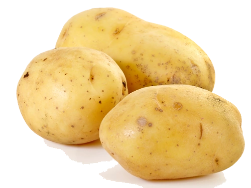 User blog:TheLastOne0/ElectricLOVEPotato | Battle for Dream Island Wiki ...