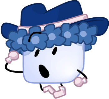 Variations of Ice Cube | Battle for Dream Island Wiki | Fandom