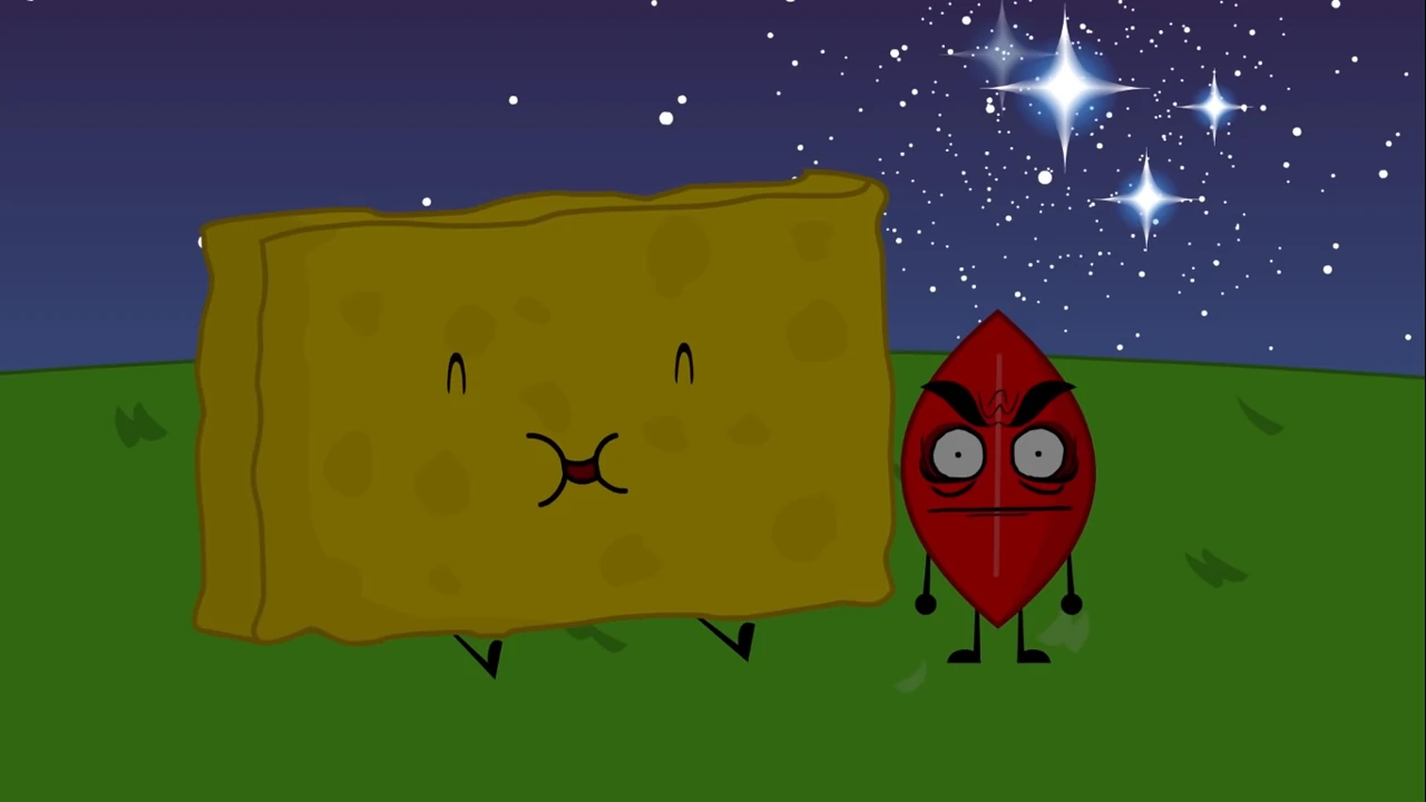 Bfdi Spongy