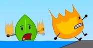 Firey and Leafy | Battle for Dream Island Wiki | Fandom