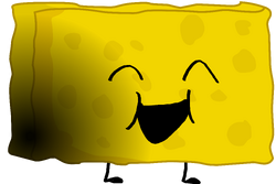 Bfdi Spongy