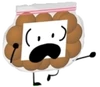 Evidence Bag | Battle for Dream Island Wiki | Fandom
