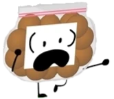 Evidence Bag | Battle for Dream Island Wiki | Fandom