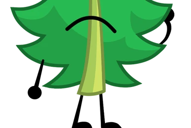 timmy time scratchpad