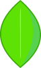 Leafy | Battle for Dream Island Wiki | Fandom
