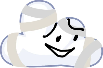 Cloudy | Battle for Dream Island Wiki | Fandom