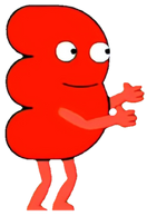 Three | Battle for Dream Island Wiki | Fandom