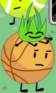 Basketball and Grassy | Battle for Dream Island Wiki | Fandom