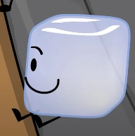 Ice Cube | BFDIA Wiki | Fandom