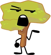 Super Large Object Voting/Elimination Order | Object Shows Community ...