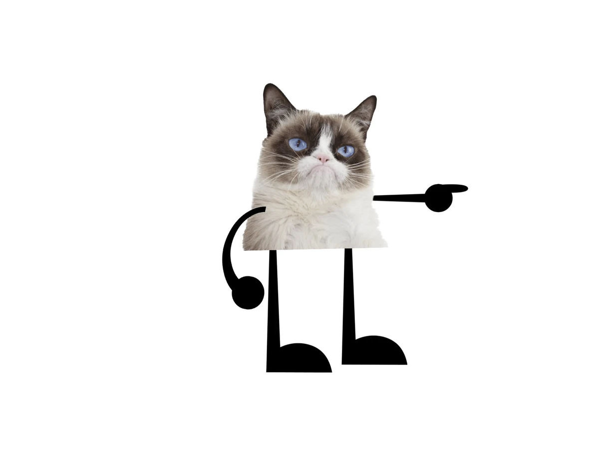 Grumpy cat | Object Shows Community | Fandom