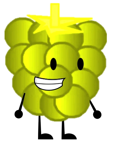 Gold Raspberry | Object Shows Community | Fandom