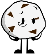 Cookie | Object Shows Community | Fandom