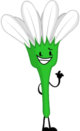 Daisy (Object Madness) | Object Shows Community | Fandom