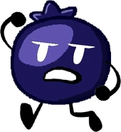 Blueberry | Object Shows Community | Fandom
