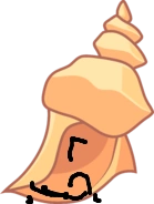 Conch Shell (BFTPITS) | Object Shows Community | Fandom