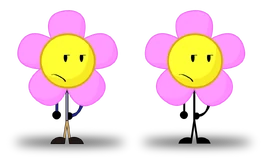 Flower | Object Shows Community | Fandom