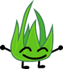 Grassy (15th)