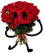 BFDI Survivor Debut Characters | Object Shows Community | Fandom