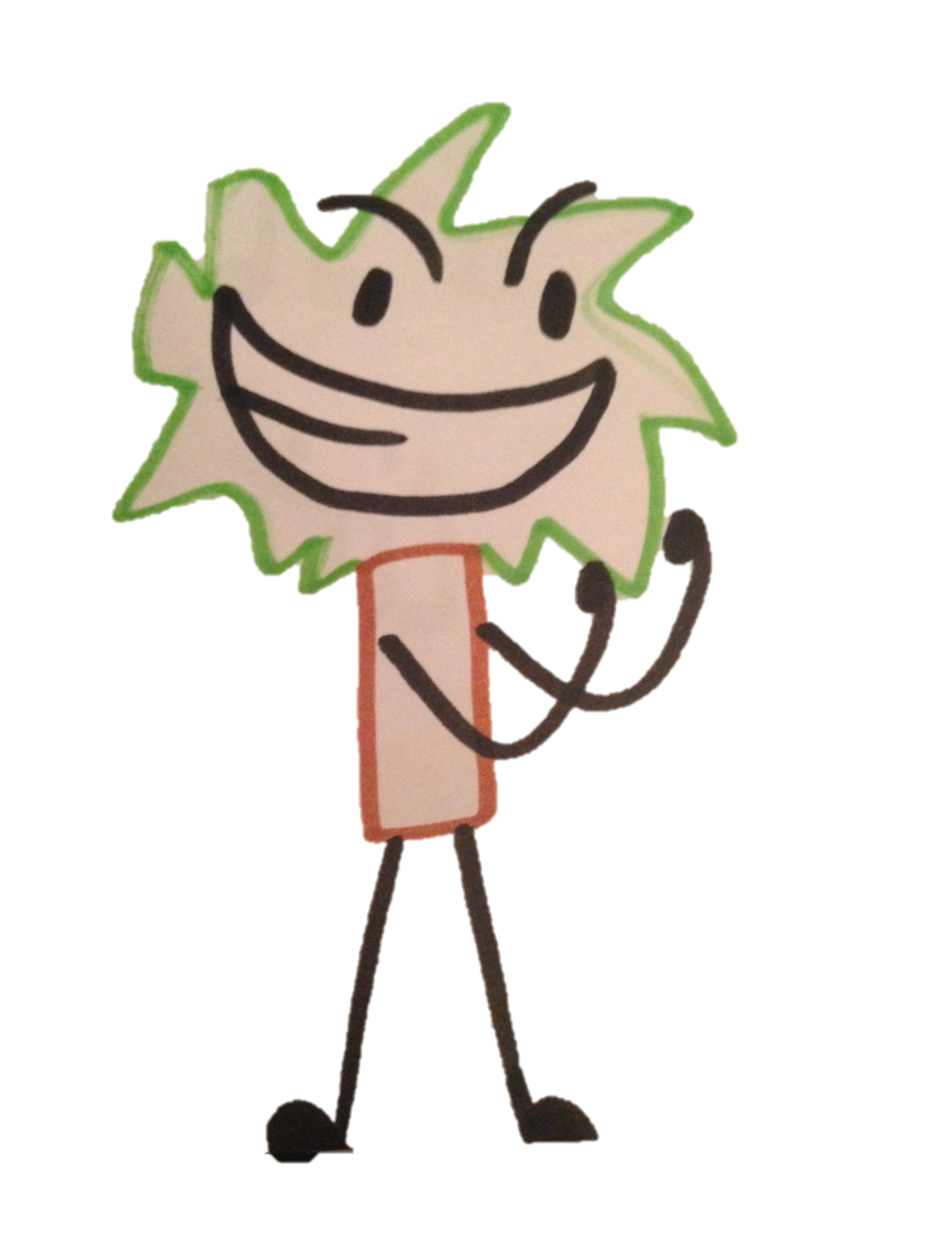 Battle of Drawings Poses | Object Shows Community | Fandom