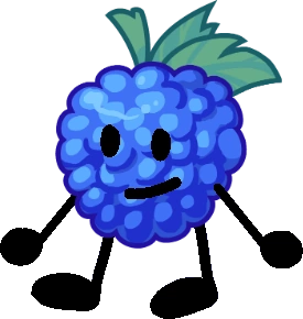 Blue Raspberry | Object Shows Community | Fandom