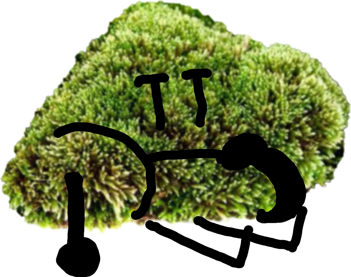 Mossy | Object Shows Community | Fandom