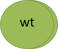 Win Token | Object Shows Community | Fandom