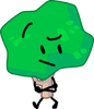 Tree (15th)