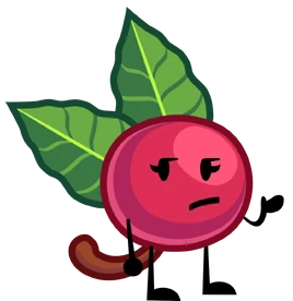 Coffee Cherry | Object Shows Community | Fandom