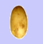 Potato | Object Shows Community | Fandom