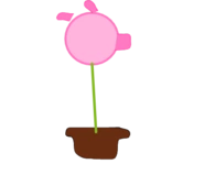 Show!! | Object Shows Community | Fandom