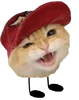 Battle For A Citty Kat | Object Shows Community | Fandom